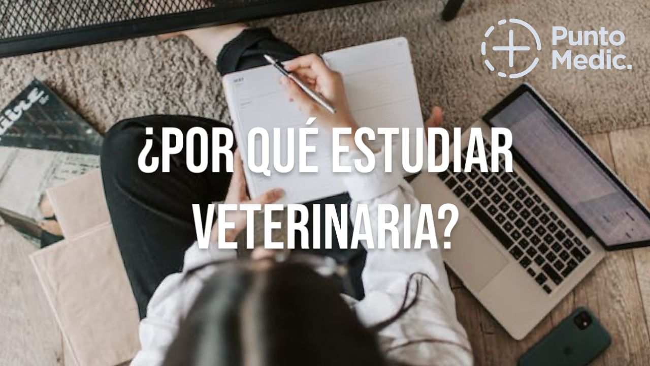 ¿Por qué estudiar veterinaria? – Punto Medic
